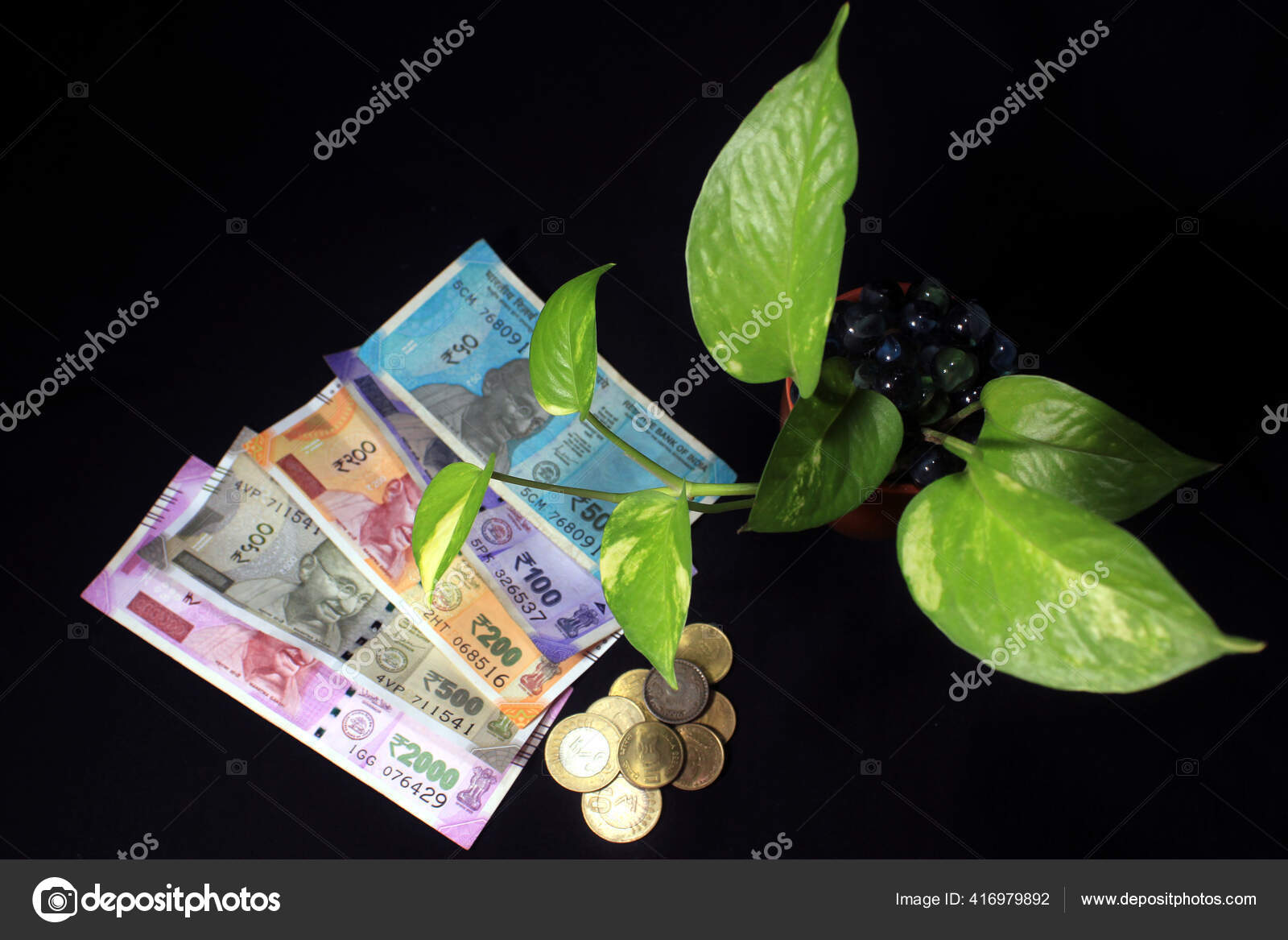 Rupee Money Tree