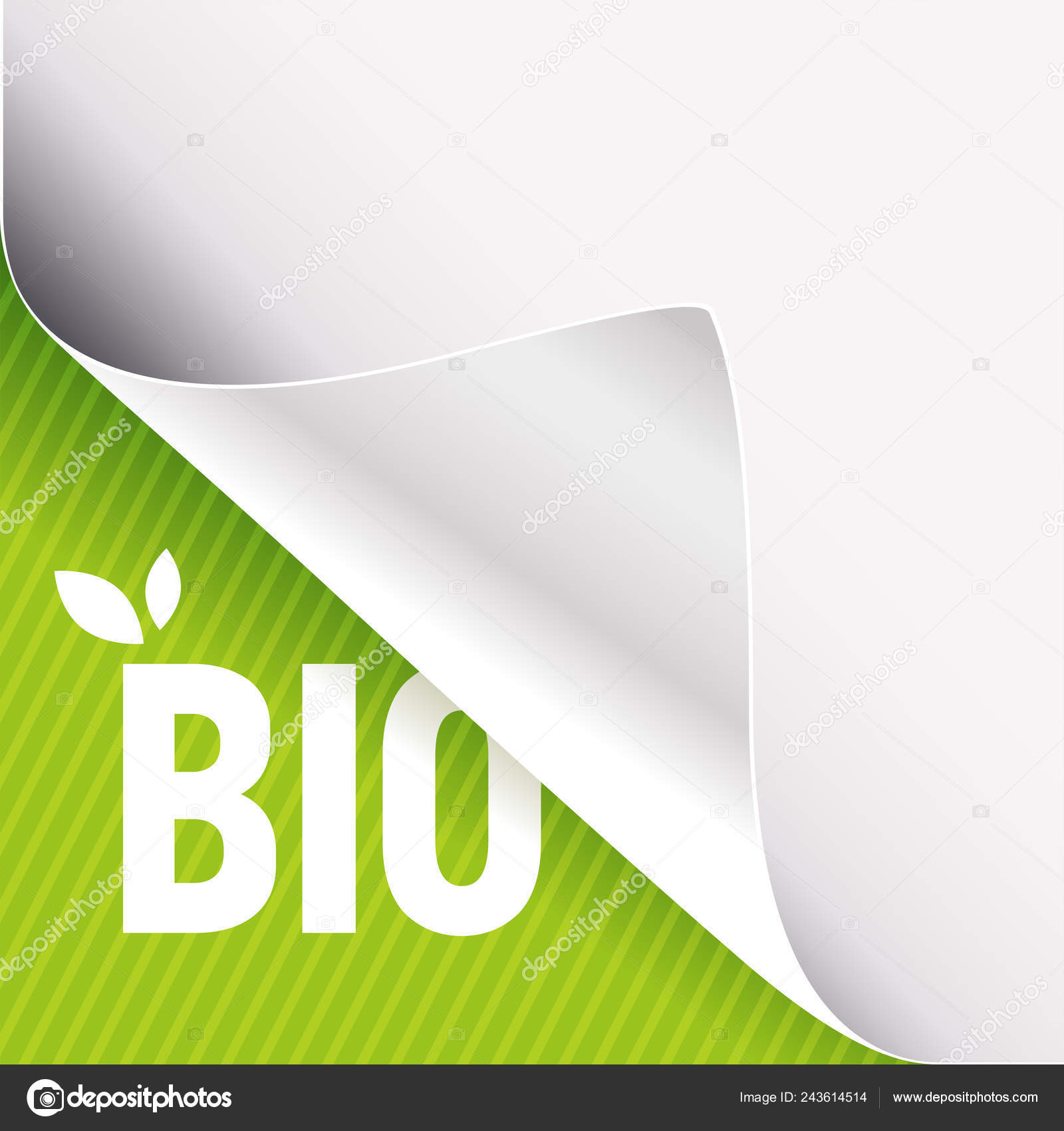 Curled Corner White Paper Green Left Bottom Angle Background Bio Stock ...