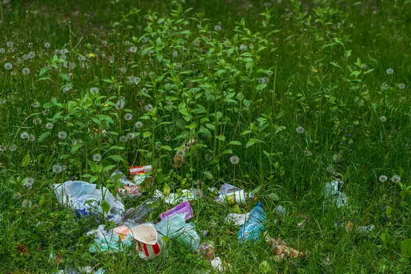 Waste in nature Stock Photos, Royalty Free Waste in nature Images ...