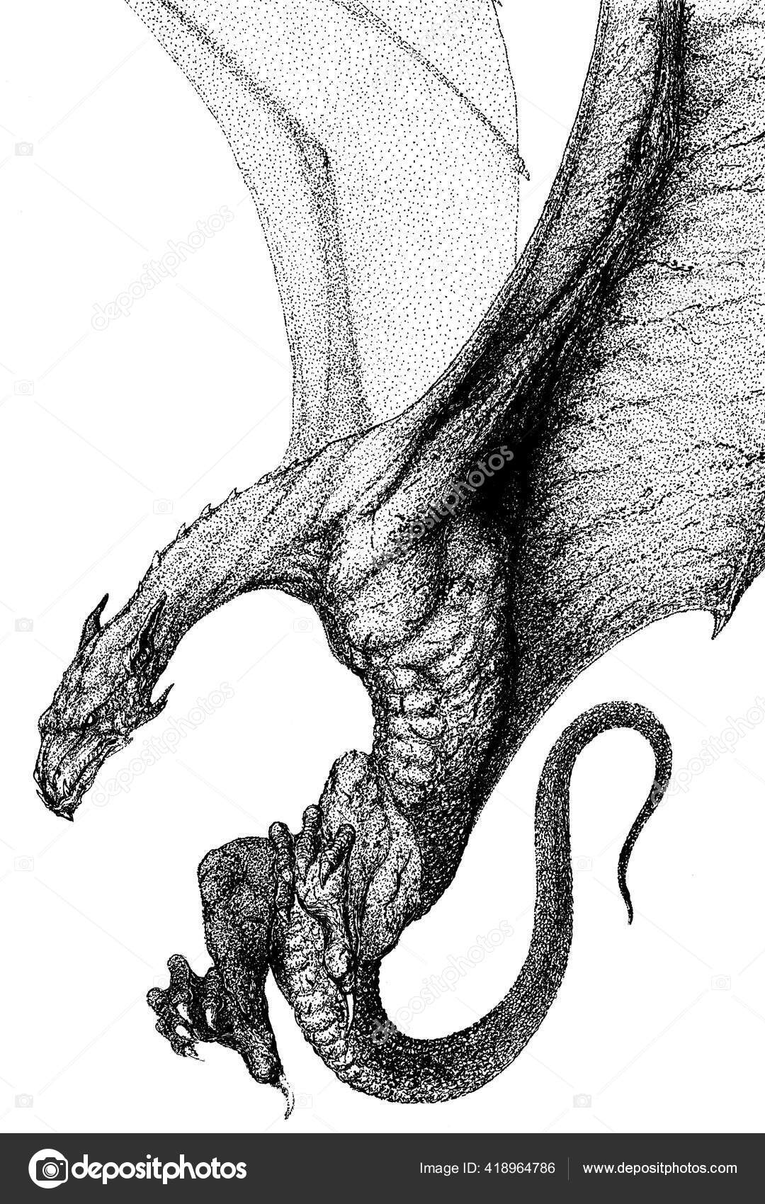 Dragon Wings Spread Drawing