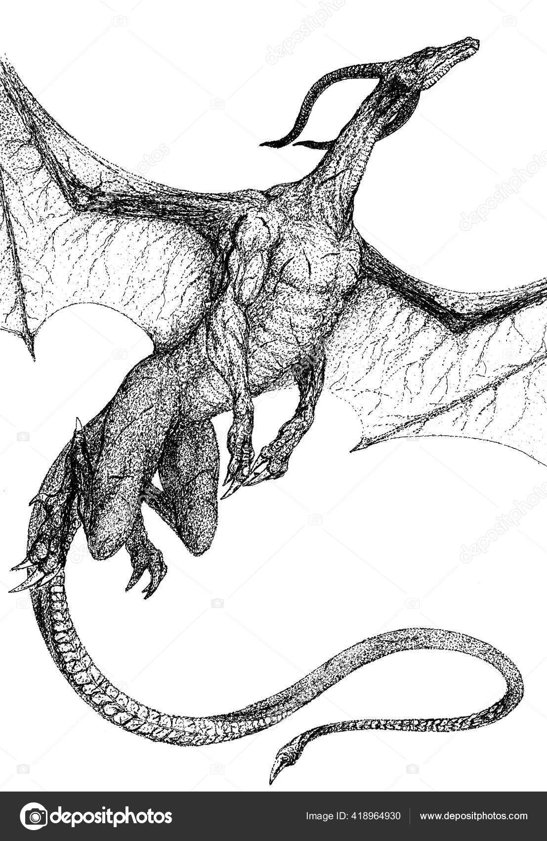 Dragon Flying In The Sky Drawing