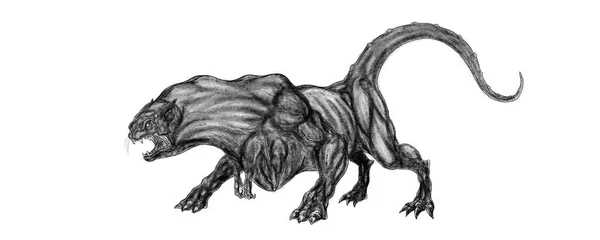 Hell cat Stock Photos & Royalty-Free Images | Depositphotos