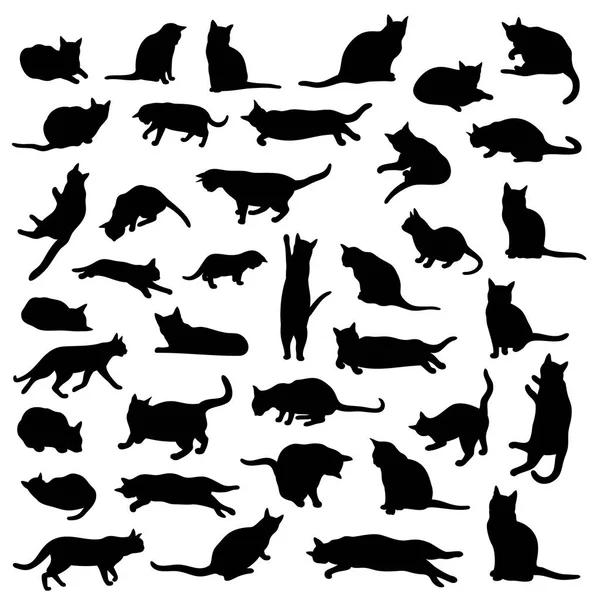 Squirrels silhouette Stock Vector Image by ©Dr.PAS #55579277