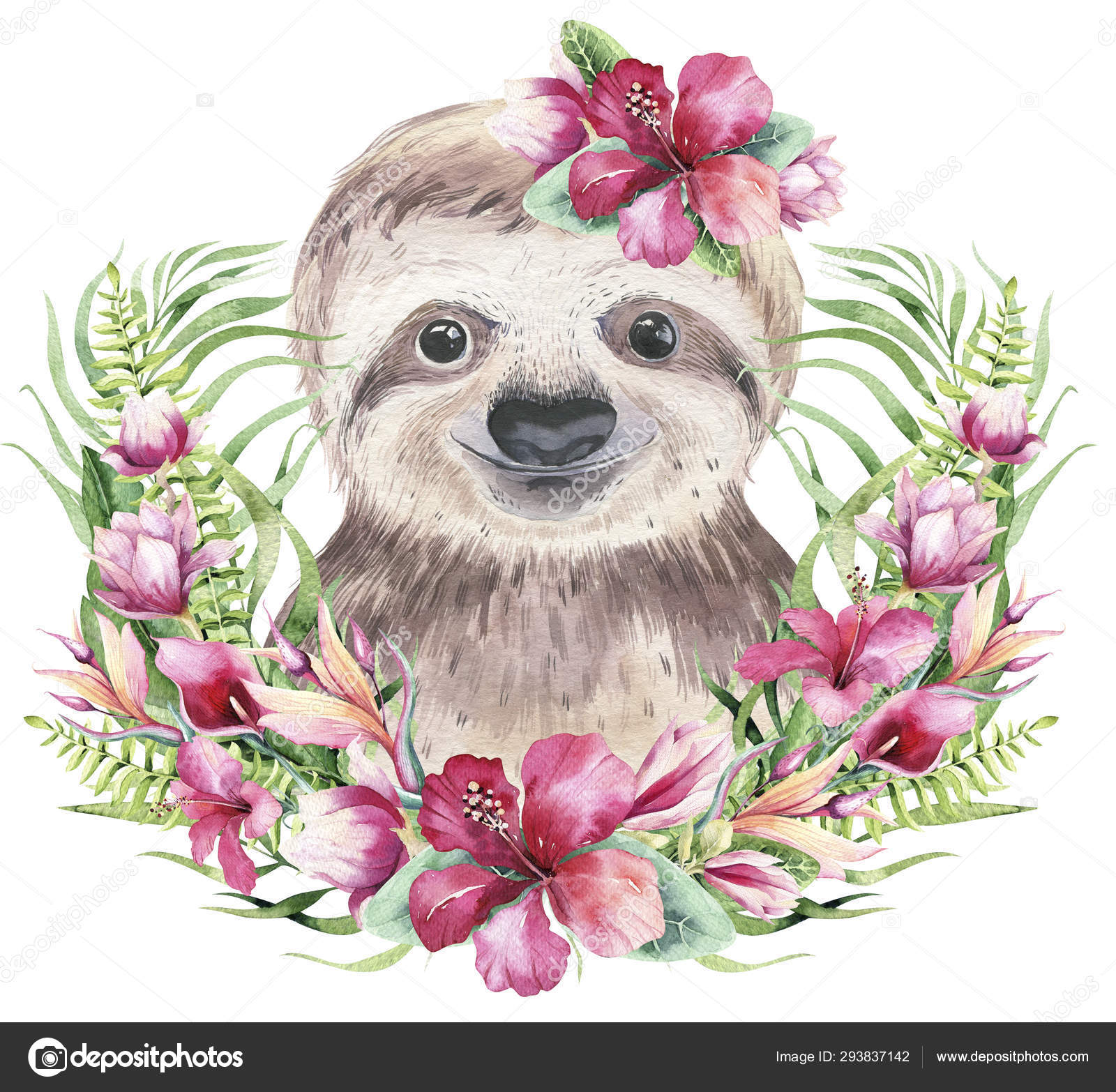 Baby Sloth Cartoon