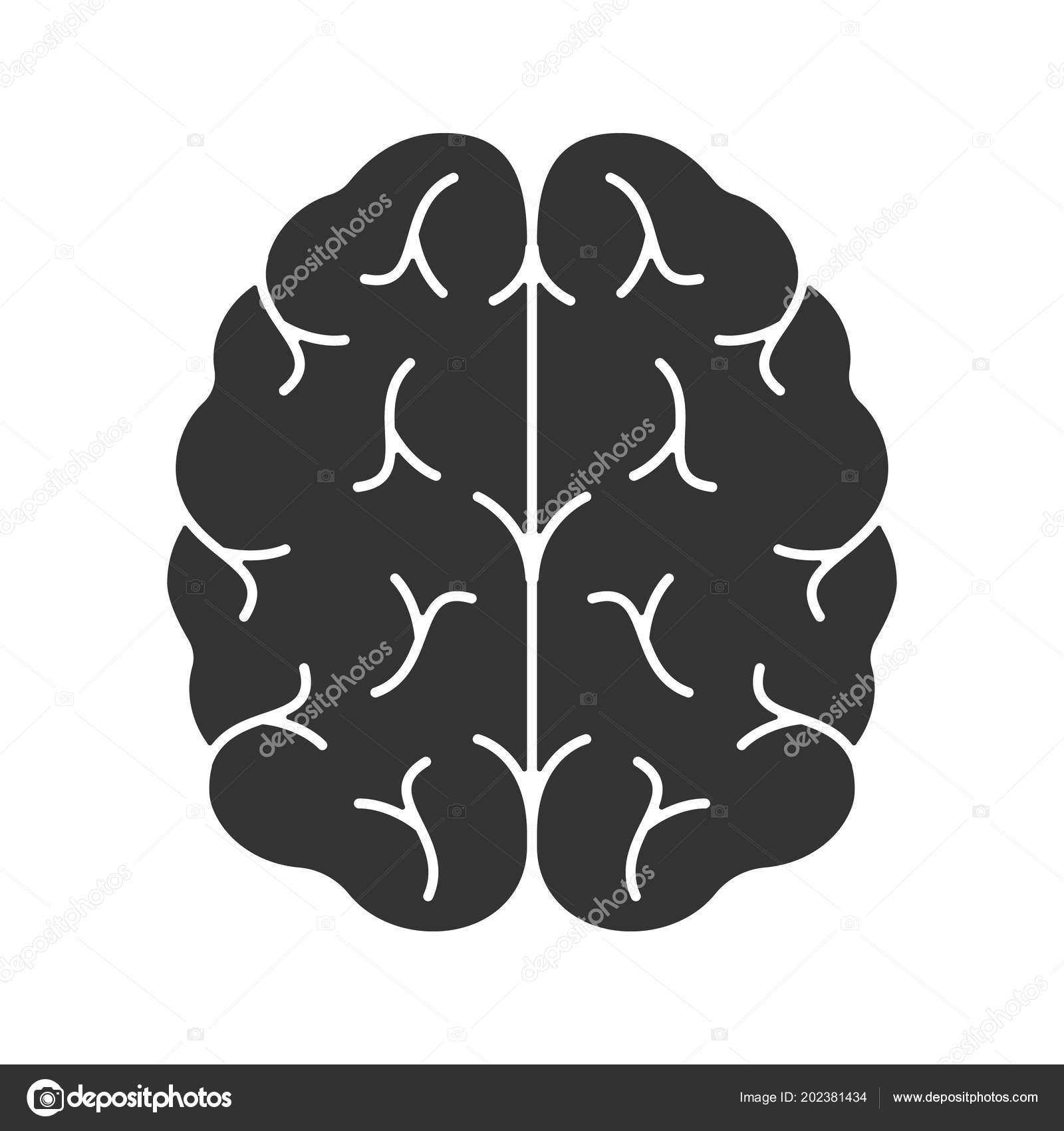 Human Brain Glyph Icon Nervous System Organ Silhouette Symbol Negative ...
