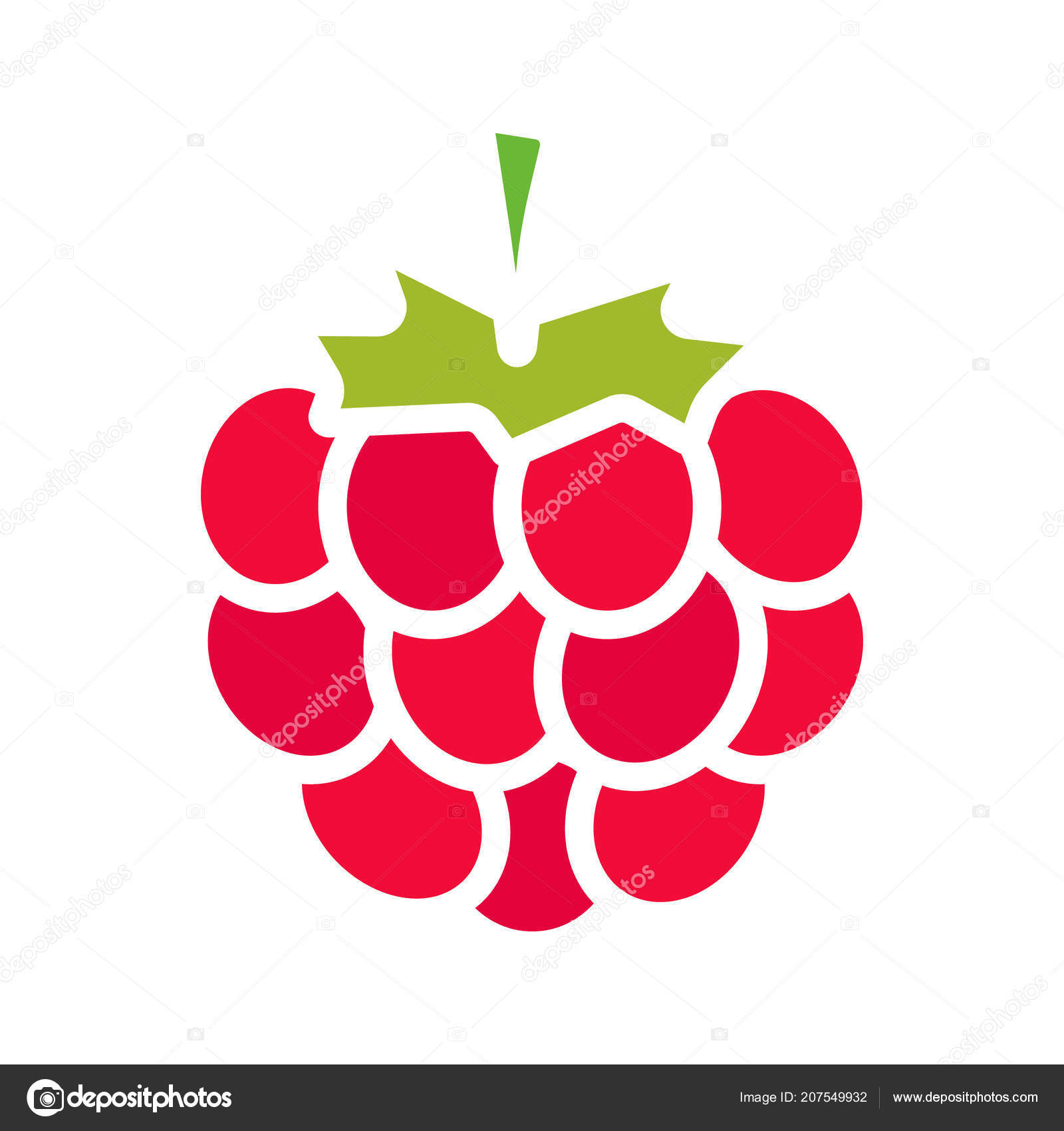 Raspberry Silhouette