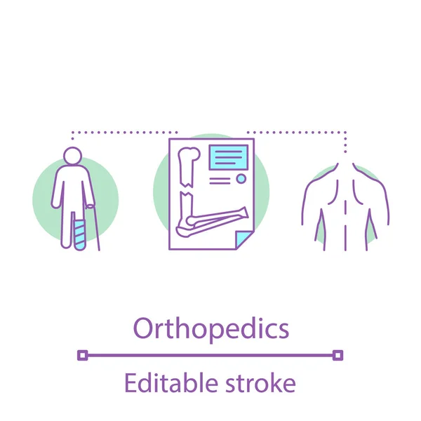 Sistem muscoloskeletal Vector Art Stock Images | Depositphotos