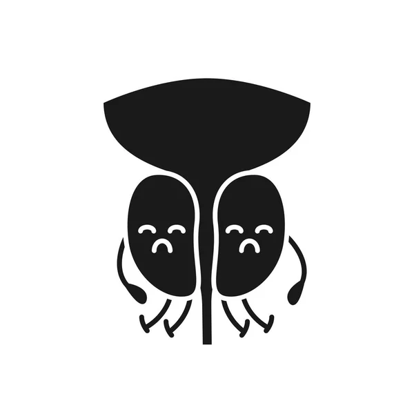 Anatomy of the prostate Vector Art Stock Images | Depositphotos