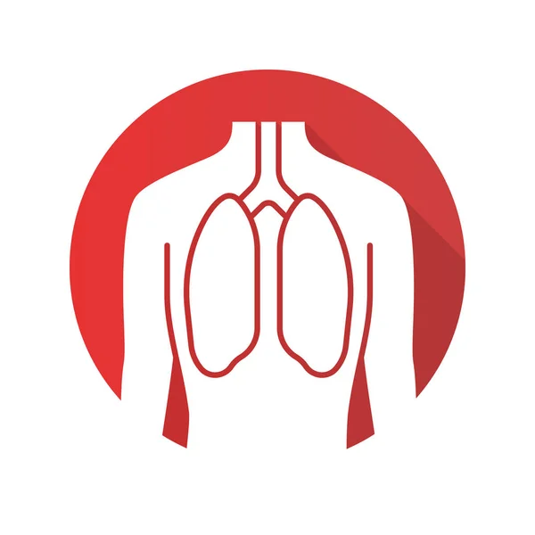 Human Lungs Bronchi Bronchioles Linear Icon Thin Line Illustration Respiratory Stock Vector