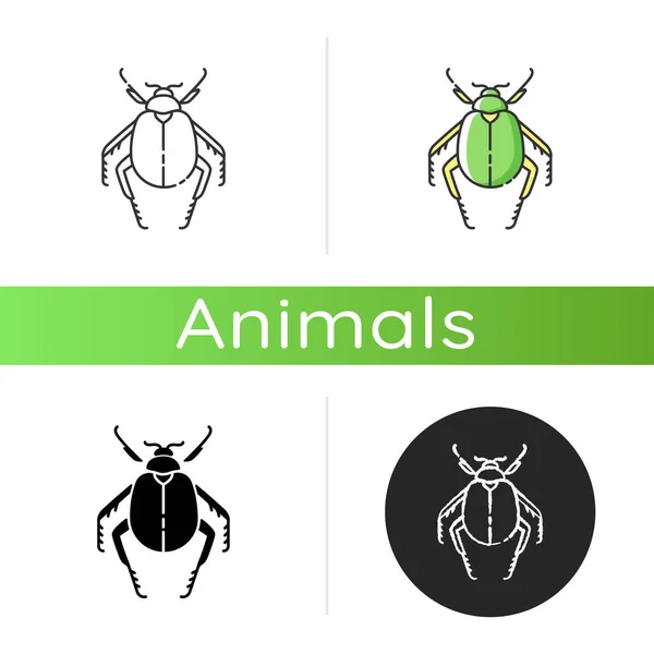 100,000 Insect life cycle Vector Images | Depositphotos