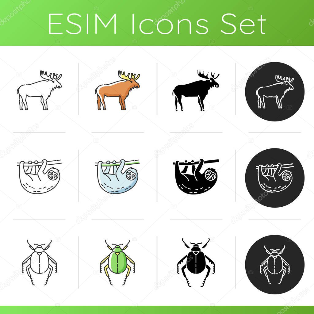 Conjunto de iconos de animales. Estilos de color lineales, negros y RGB ...