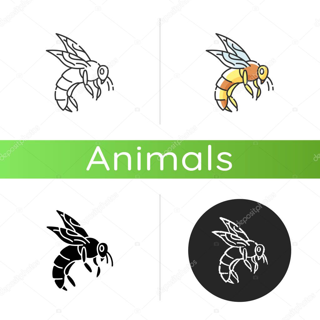 Icono de abeja. Negro lineal y estilos de color RGB. Pequeño insecto ...