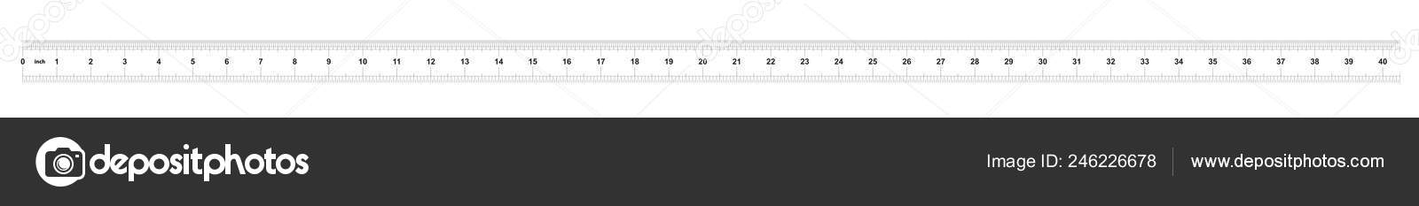 Ruler Inches Imperial Ruler Inches Metric Precise Measuring Tool Calibration Stock Vector Image ...
