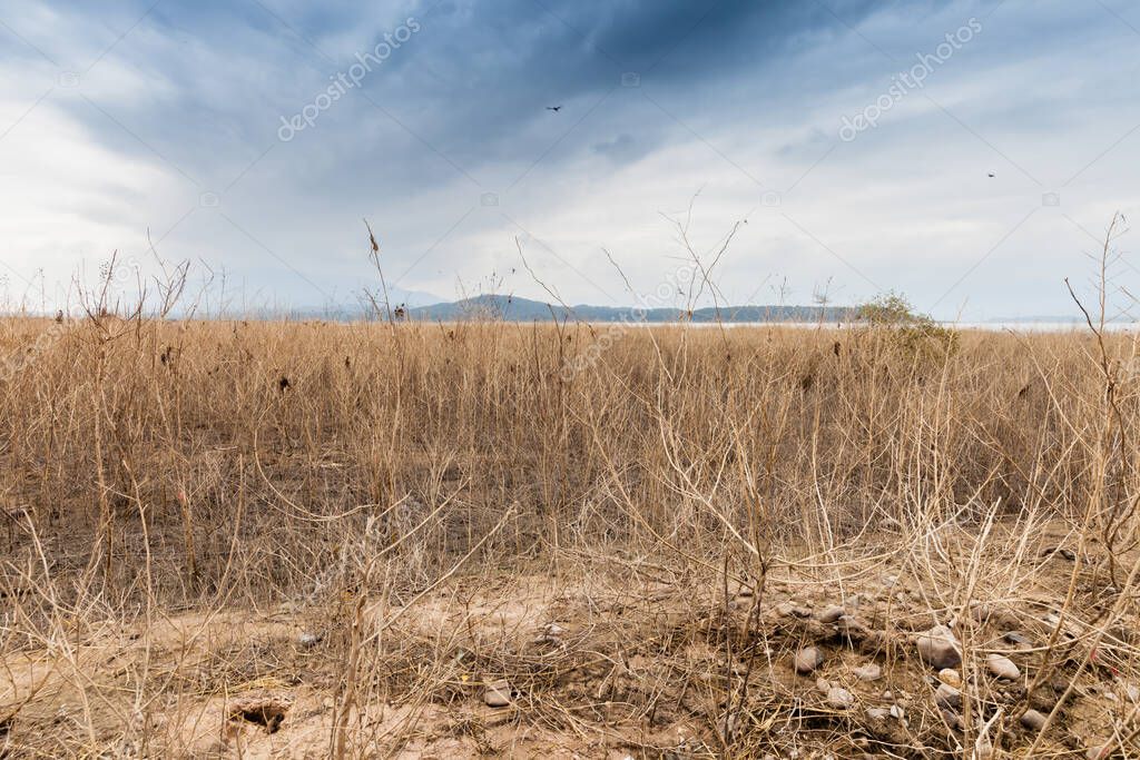 Tierra seca de campo bajo cielo nublado y montaña frente al agua en ...