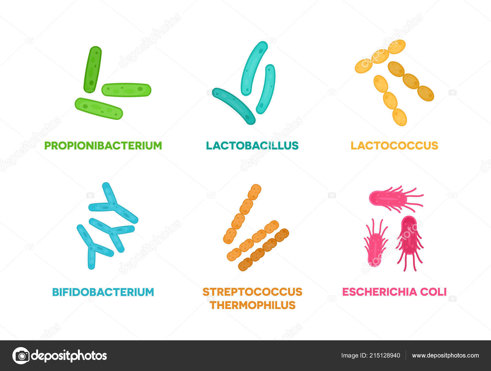 Probiotics. Set of good bacteria and microorganisms concept isolated on white background ...
