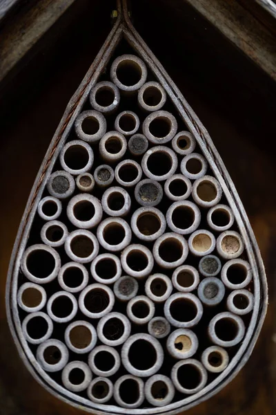 Bee and Insect Nesting Box in a shape of a water drop - Stock Image ...