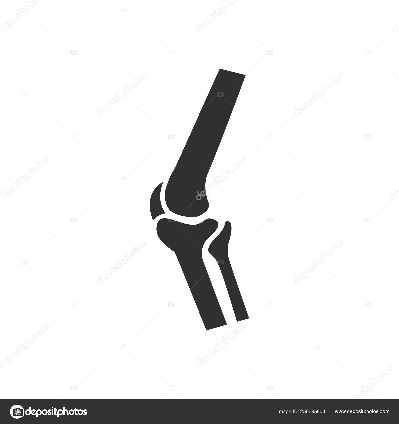 Knee Icon Flat Vector Stock Vector Image by ©4zeva #250695808