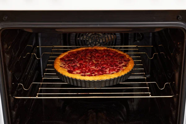 Homemade raspberry pie with yogurt filling cooked in the domestic oven ...