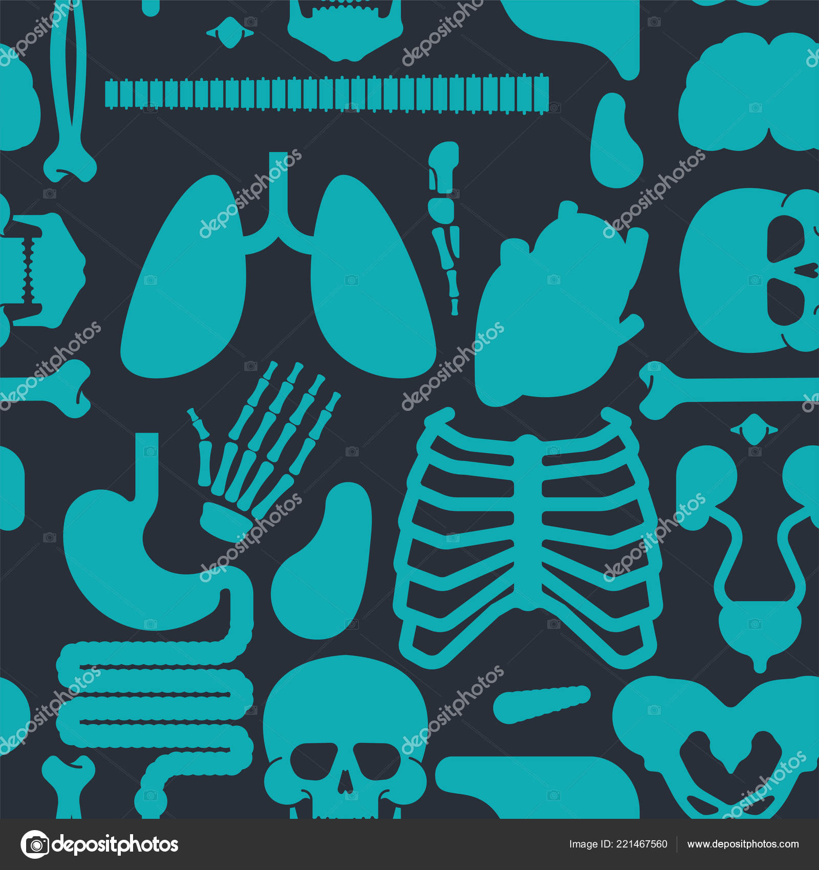 Human Anatomy Pattern Seamless Skeleton Internal Organs Background ...