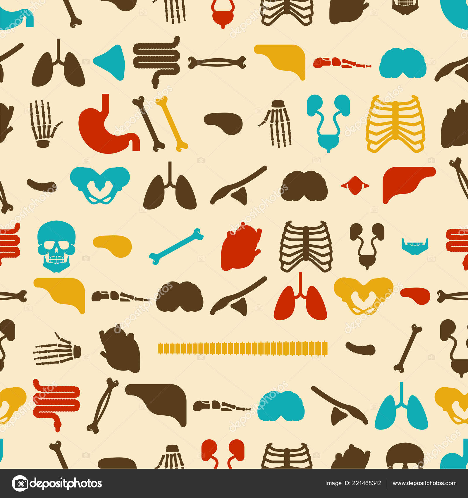 Human Anatomy Pattern Seamless Skeleton Internal Organs Background ...