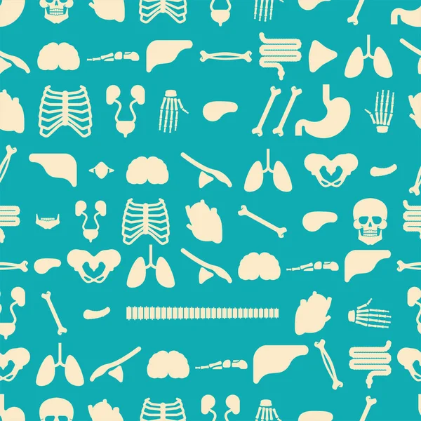 Human Anatomy Pattern Seamless Skeleton Internal Organs Background ...