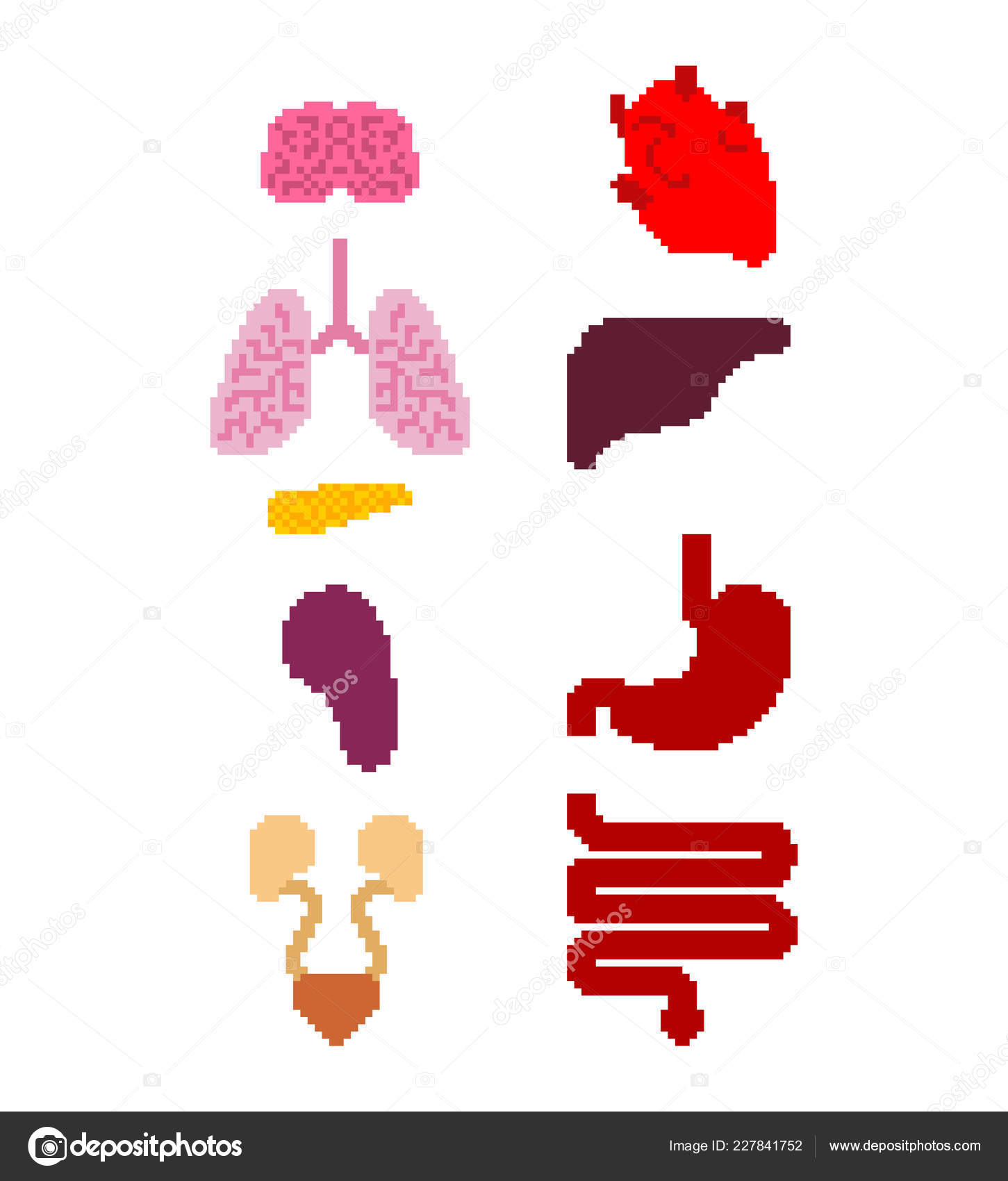 Internal Organ Pixel Art Set Bit Anatomy Human Body Heart Stock Vector ...