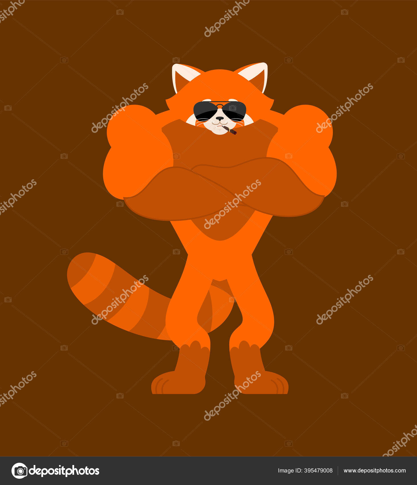 Red Panda Strong Cool Serious Beast Strict Vector Illustration Stock ...