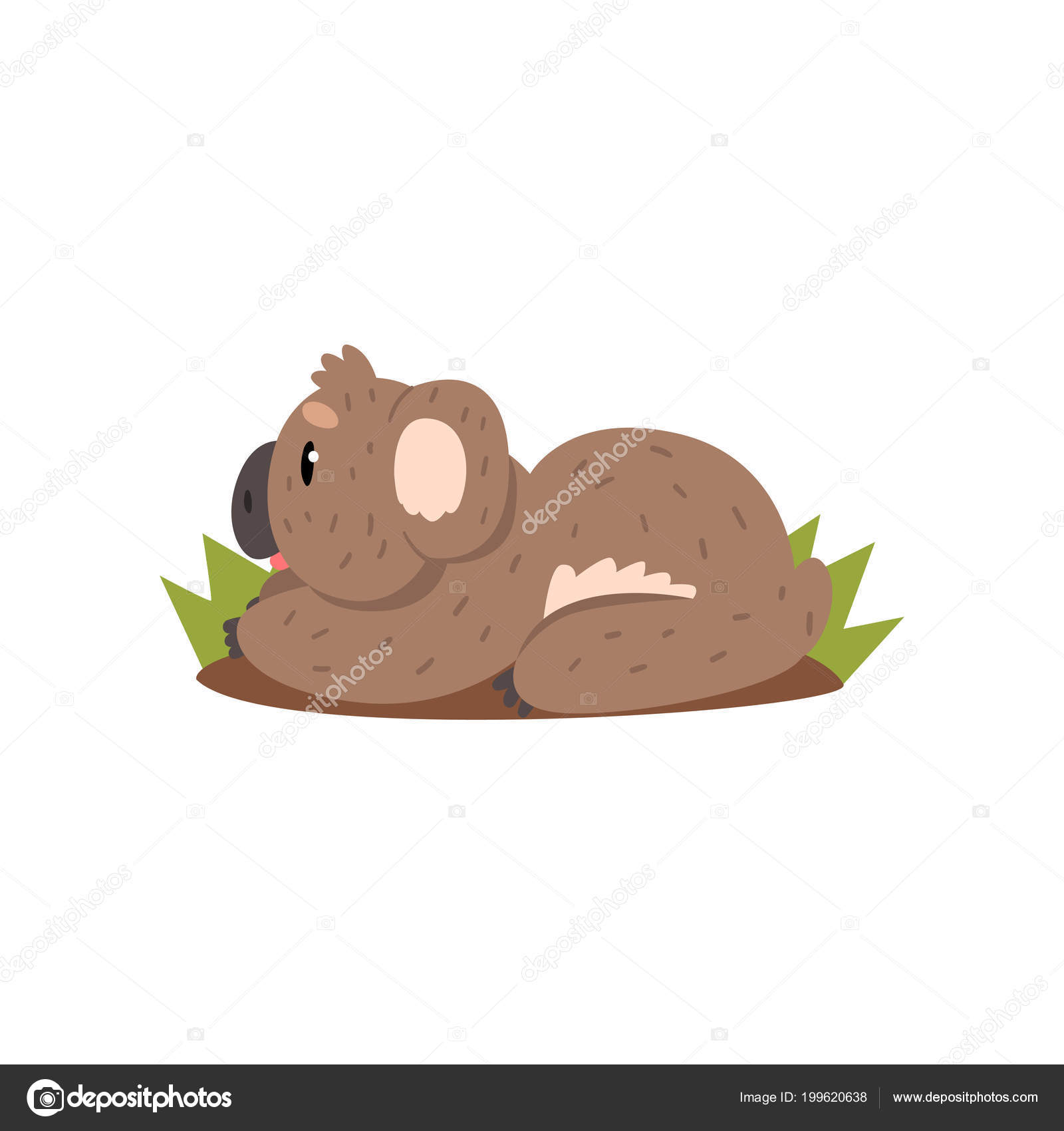 Cute koala bear lying on the ground, Australian marsupial animal ...