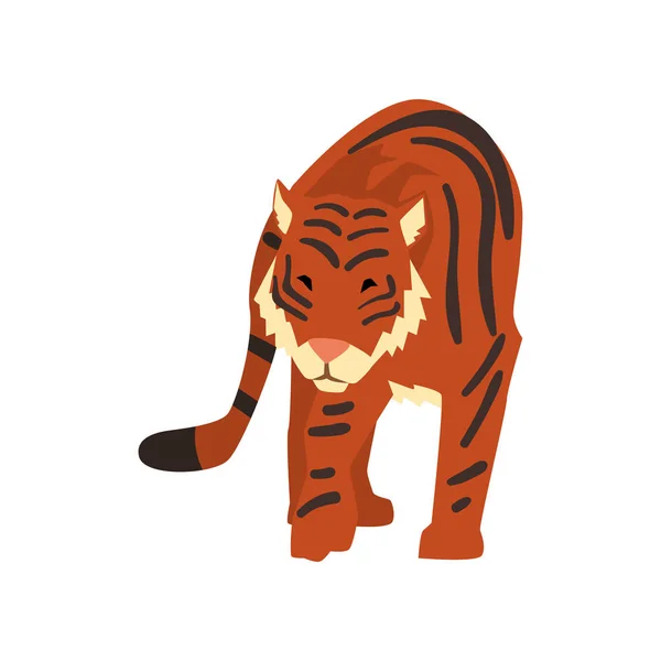 Aggressive tiger walking, wild cat, predator cartoon vector ...