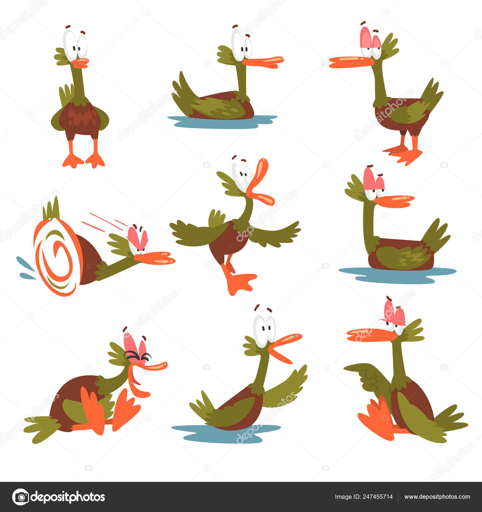 Image vectorielle Ensemble de canard colvert mâle drôle, personnage de ...