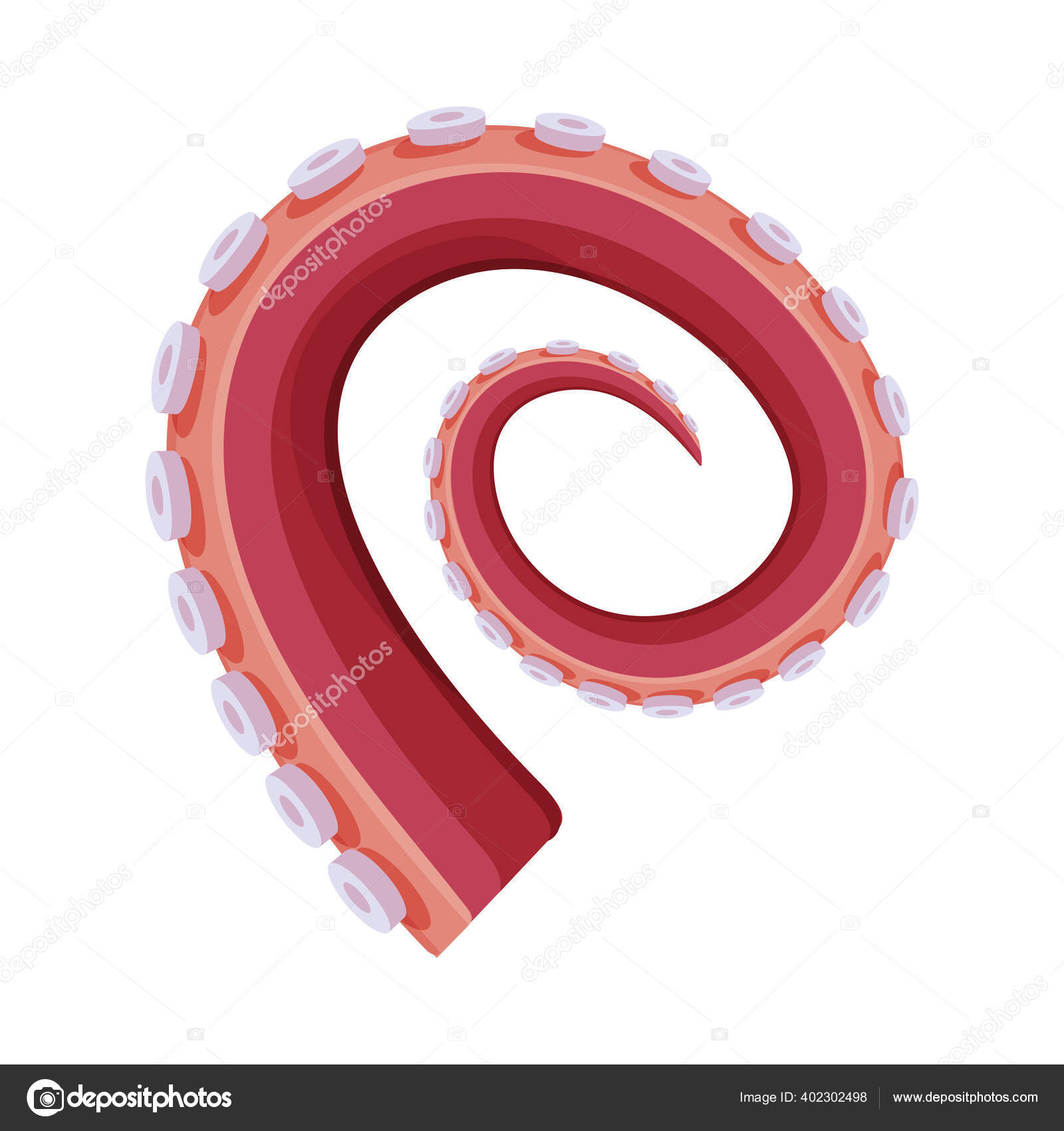Octopus Spiral Tentacle, Seafood, Marine Animal Body Part Vector ...