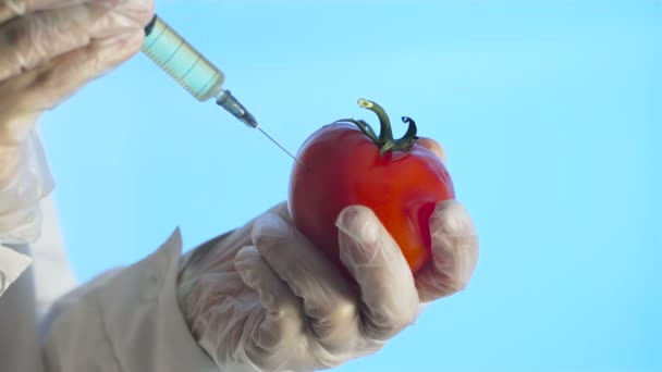 Scientist Injects Tomato With A Syringe — Stock Video © Stanis88 252796326