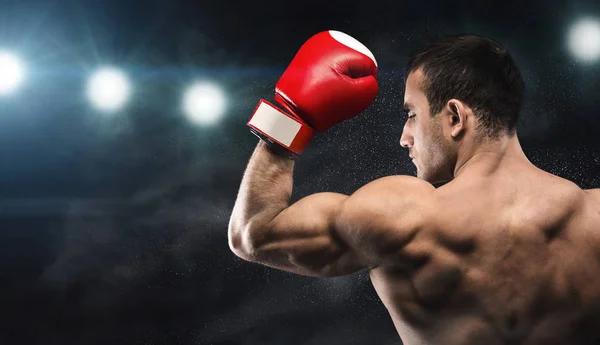 Boxerwinner Stock Photos, Royalty Free Boxerwinner Images | Depositphotos