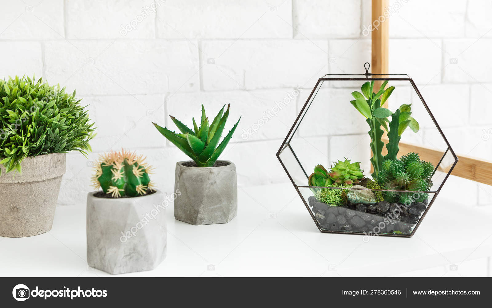 Florarium vase with succulent plants and cactuses in pots on shelf. Stock Photo by ©Milkos 278360546