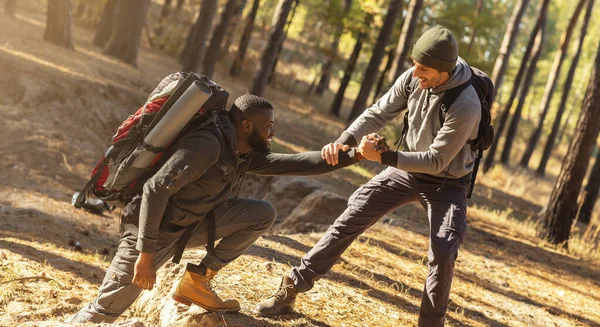 Man Giving Helping Hand Stock Photo by ©Rawpixel 196926062