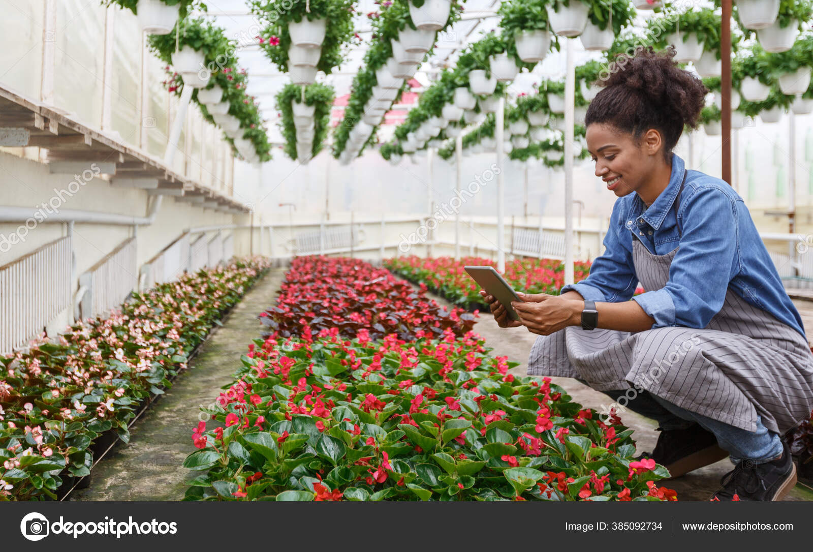 Smart technology hydroponics and work in greenhouse. Woman in smartwatch sits near flowers in ...