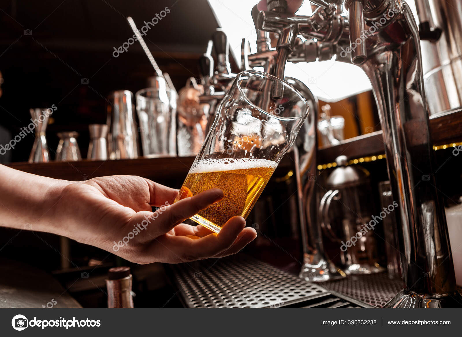 Pour a pint of beer. Bartenders hand holds glass and takes drink from ...