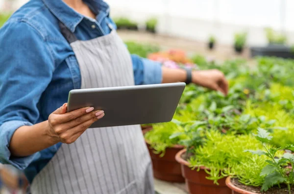 Smart greenhouse Stock Photos, Royalty Free Smart greenhouse Images | Depositphotos