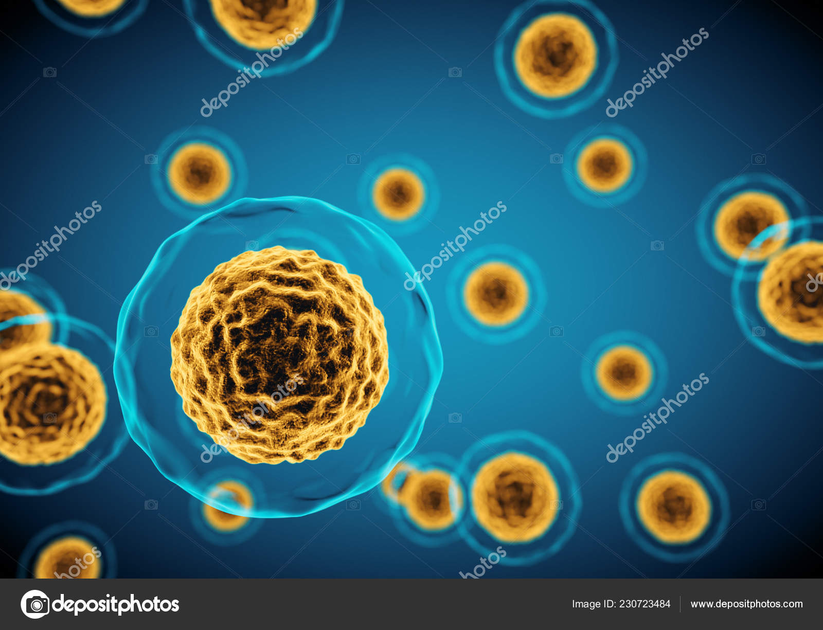 Cells view under a microscope. Stock Photo by ©ouh_desire 230723484