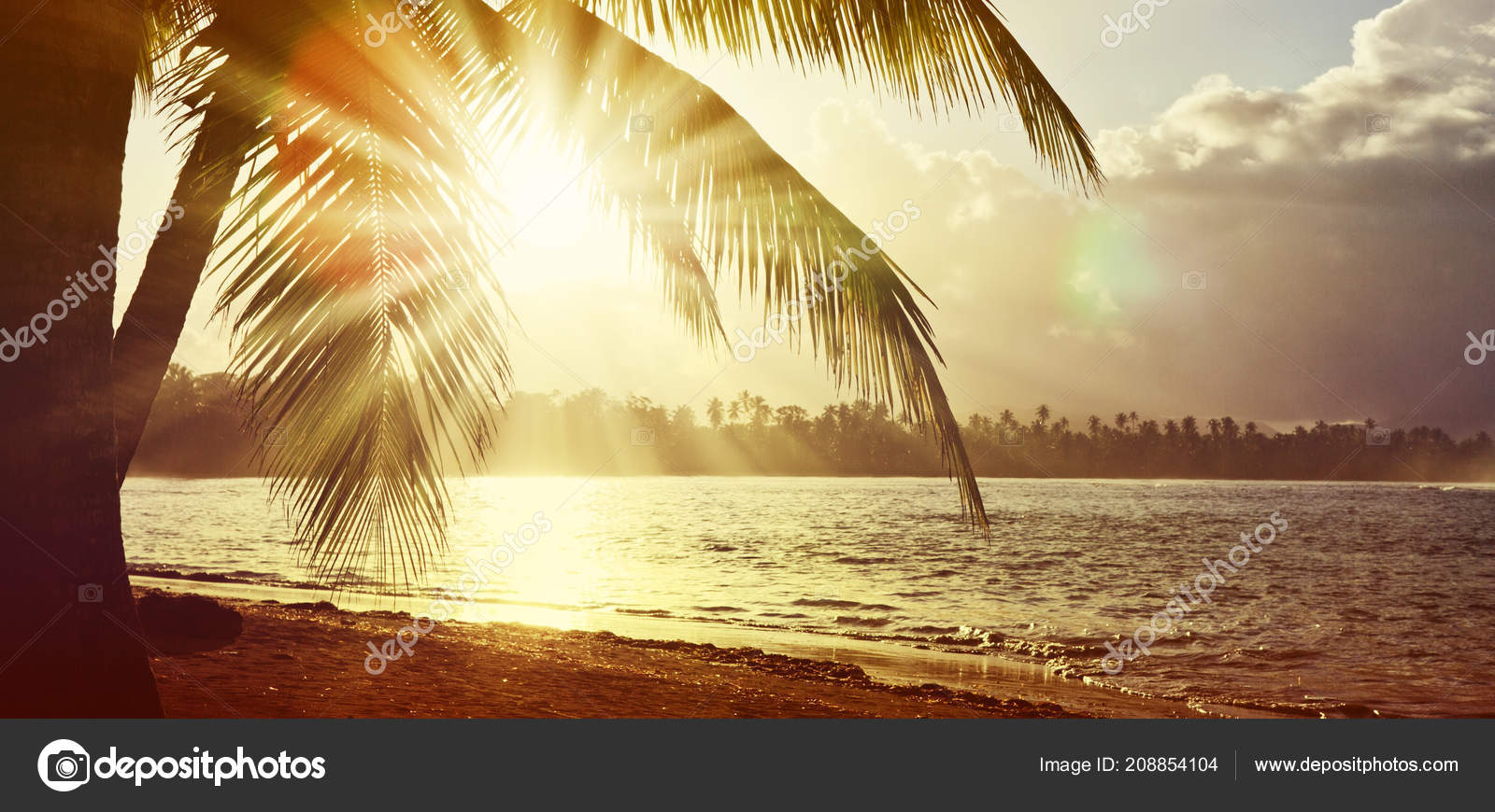 Tropical Sunrise Wallpaper