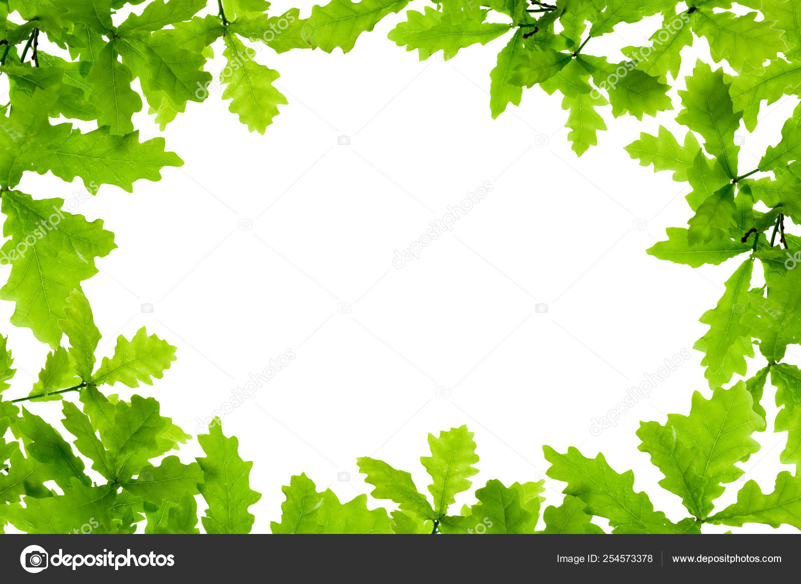 Oak Leaves Border Acorns And Oak Leaves Border 1 My Creative