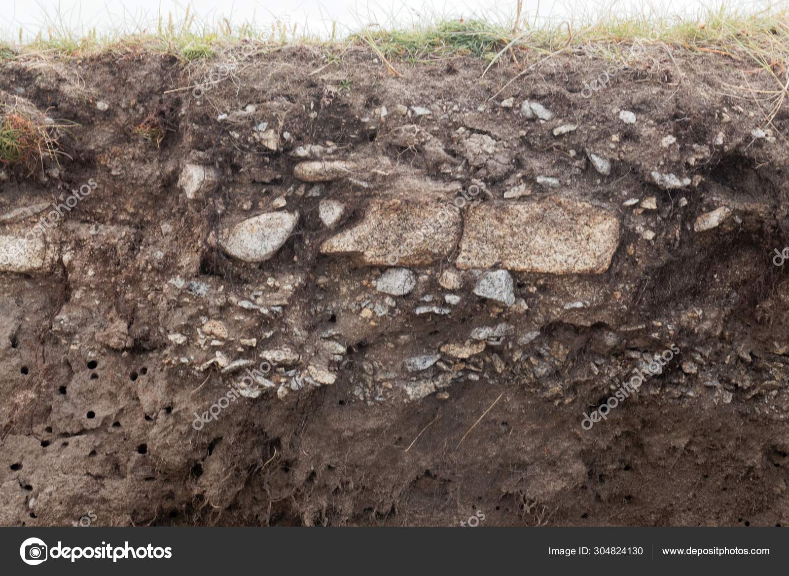 Ranker soil with large granite fragments Stock Photo by ©ChWeiss 304824130
