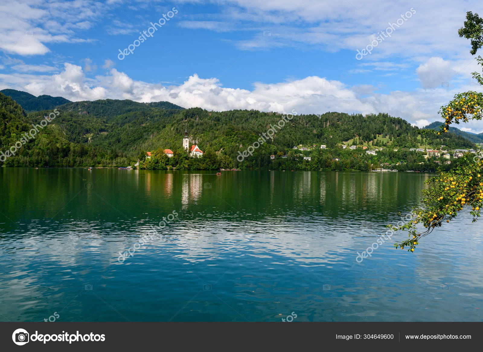 Beautiful view of Lake Bled with reflection in the foreground an ...