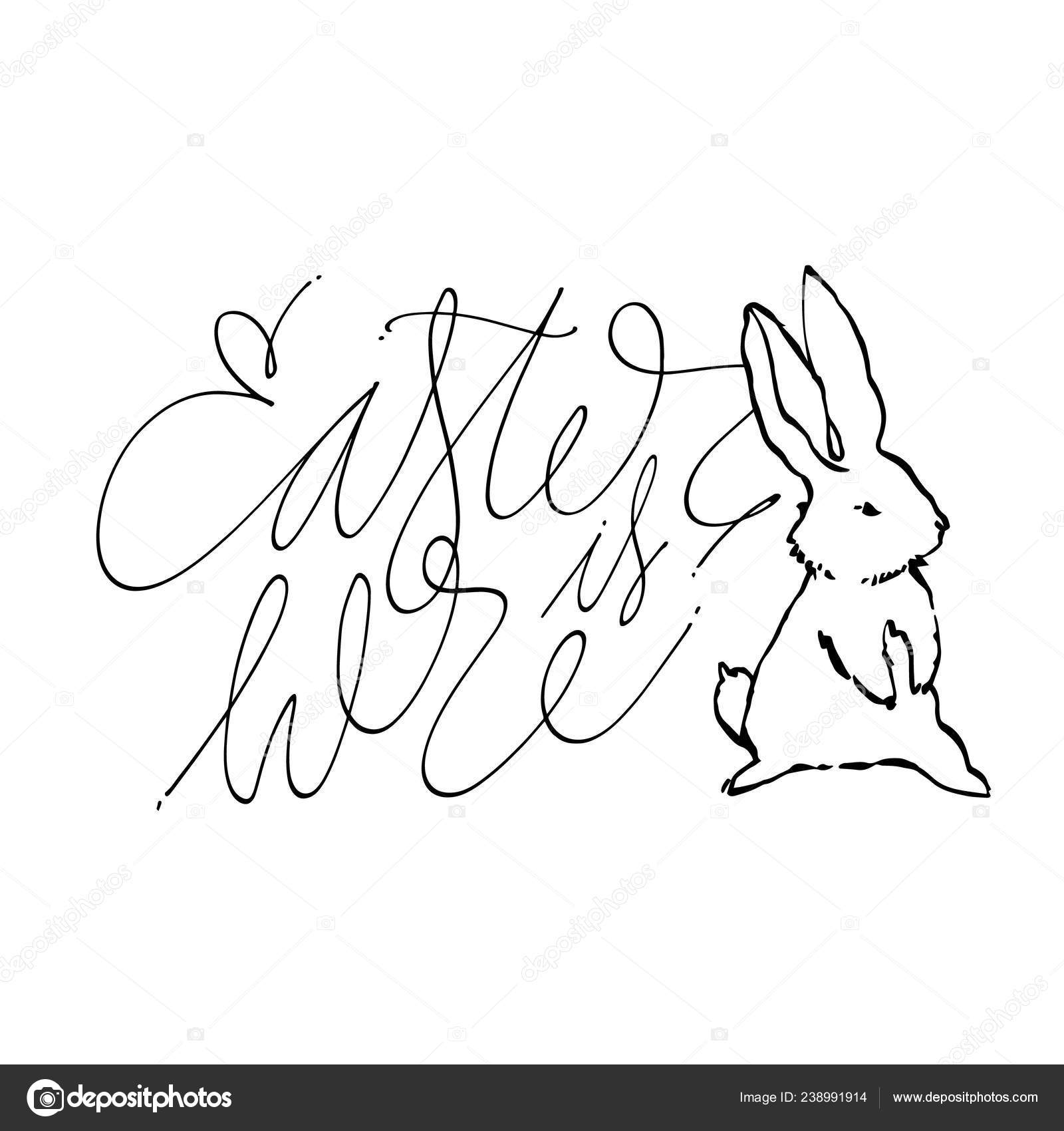 Cute rabbits, hand draw illustration with letterings phrases-Happy ...