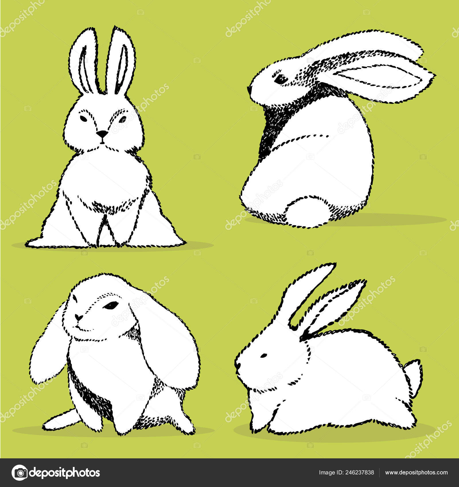 Collection of some cute rabbits, hand draw illustration. Draw ...