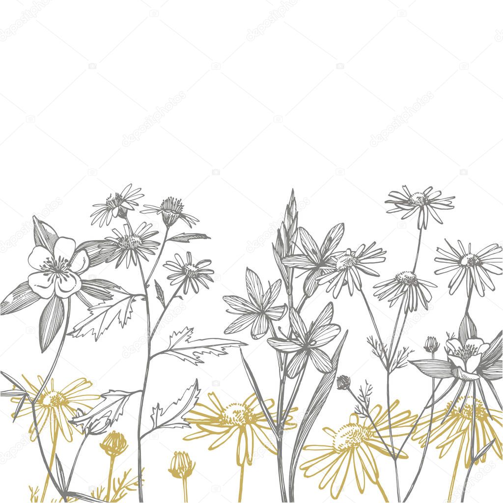 Tansy y Manzanilla. Ramo de flores y hierbas dibujadas a mano ...