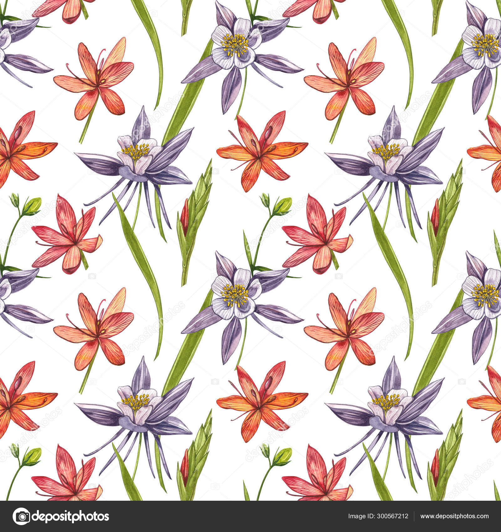 Kafir Lilies flowers. Seamless patterns. Collection of hand drawn ...