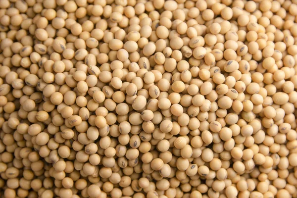 Soybean pattern Stock Photos, Royalty Free Soybean pattern Images ...