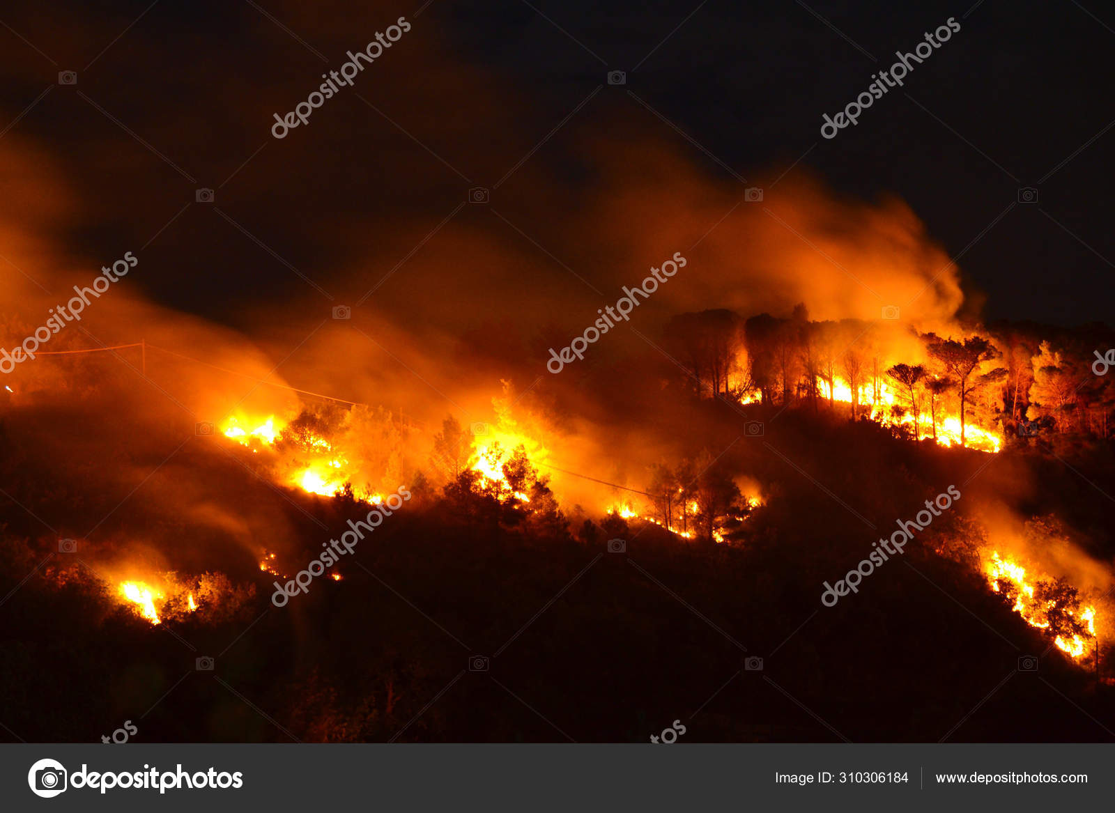 Environmental Disaster Forest Fire — Stock Photo © oraziopuccio #310306184