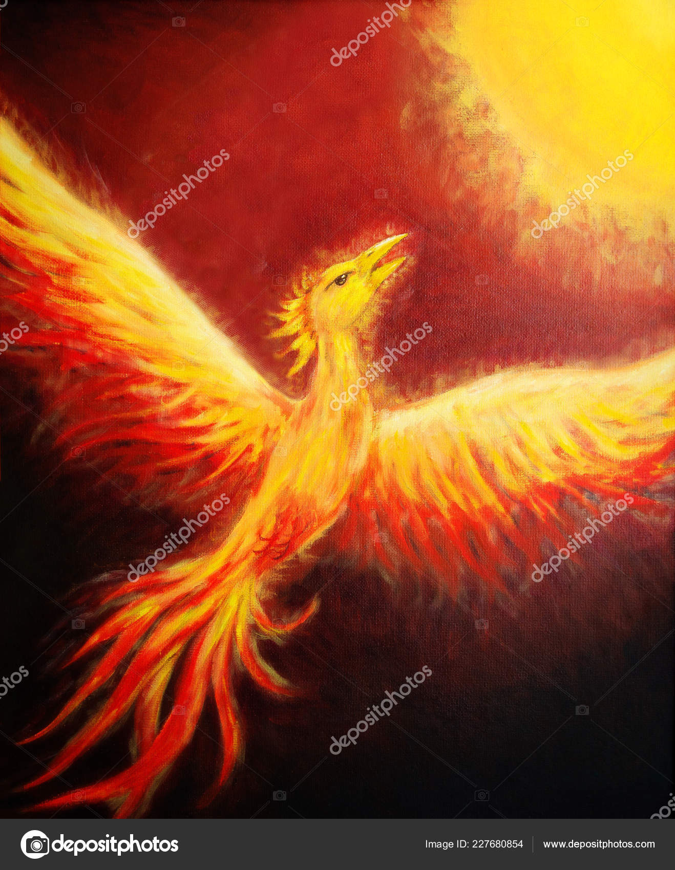 Phoenix Bird Phoenix | Gods & Goddess Wiki | Fandom